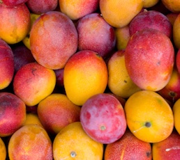 Mangoes - Dubai Confidential