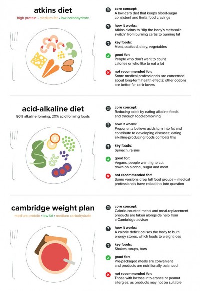 ESSENTIAL GUIDE TO DIETS