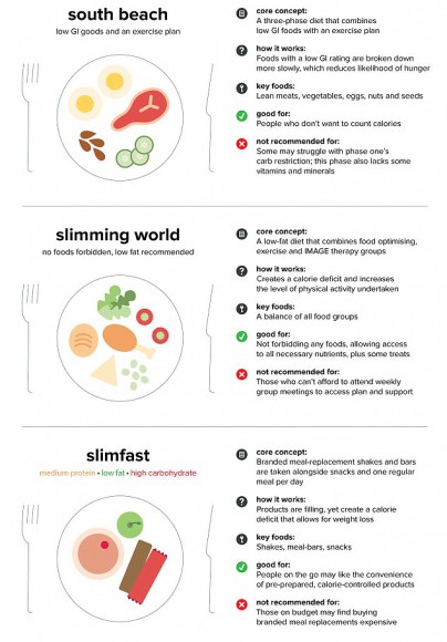ESSENTIAL GUIDE TO DIETS