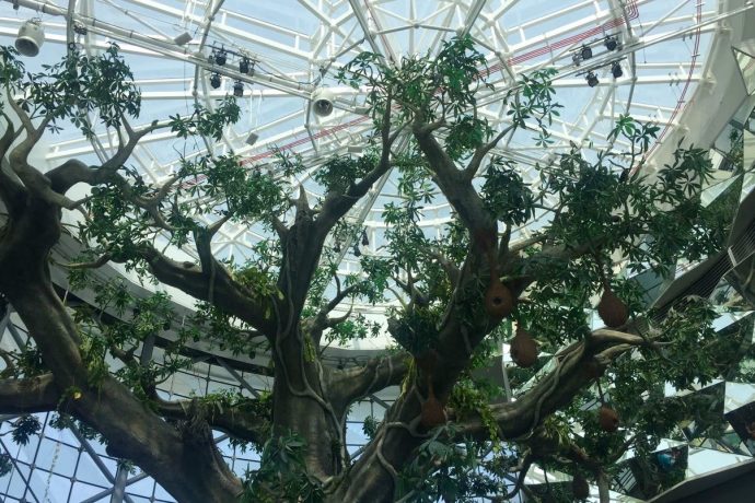 EXPLORE THE GREEN PLANET IN DUBAI - Dubai Confidential