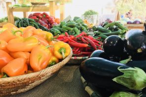 10 GOOD REASONS TO GO VISIT THIS ORGANIC FARM IN THE UAE